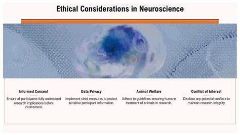 Neuroscience And Anatomy Ppt Template Acp Ppt Presentation