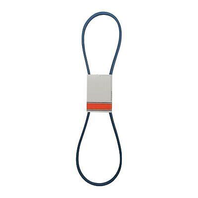 Équivalent Rechange Ceinture pour Simplicity 1678354SM eBay