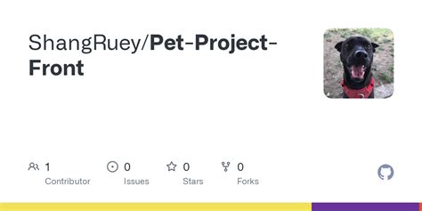 Github Shangruey Pet Project Front