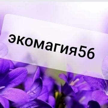 Экомагия56 - КАКАЯ СЫВОРОТКА ДЛЯ ВОЛОС АКТУАЛЬНА В ХОЛОДНОЕ ВРЕМЯ ГОДА ...