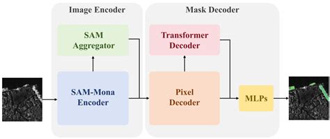 논문 리뷰 Tuning A Sam Based Model With Multi Cognitive Visual Adapter To