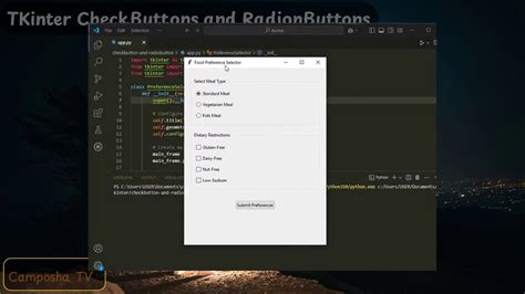 Tkinter 10 Checkbuttons And Radiobuttons Youtube