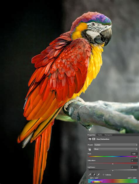 How To Adjust Specific Colors With Hue And Saturation Adjustment Layers In Photoshop Design Panoply