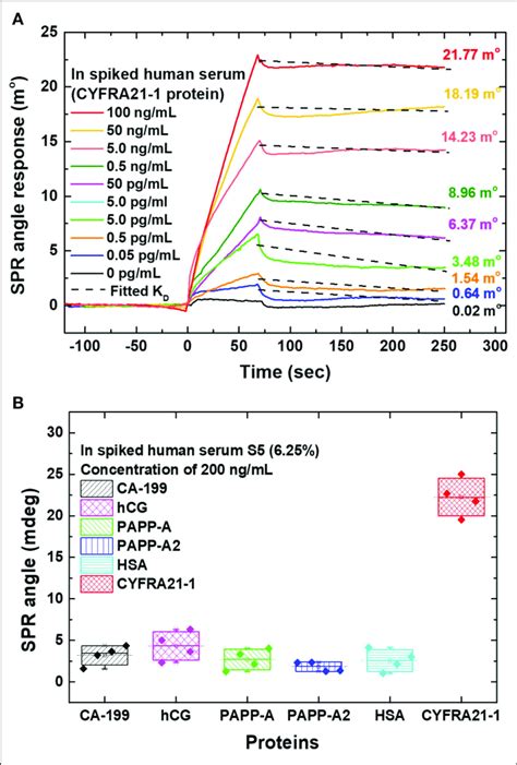 A The Sensogram That Shows The Spr Response At Different Cyfra21 1