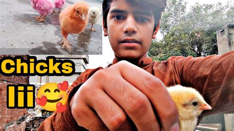 Chicks Ly Aya Mera New Choza Ahmadbutt Youtube