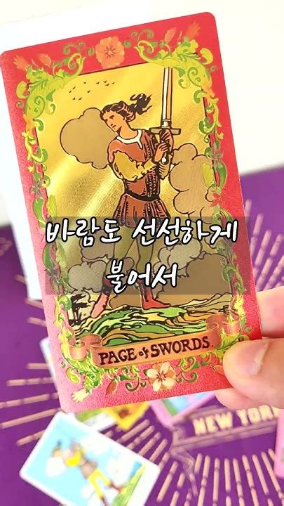 페이지 오브 소드 Page Of Swords 소드 시종 타로카드 타로독학 Tarot 타로배우기 Youtube