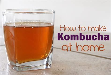 How To Make Kombucha
