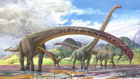 Descubren dinosaurio con el cuello más largo del mundo
