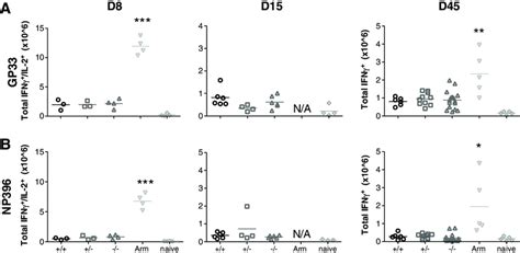 No Alteration In Functionally Impaired Cd8 þ T Cells Was Seen In The