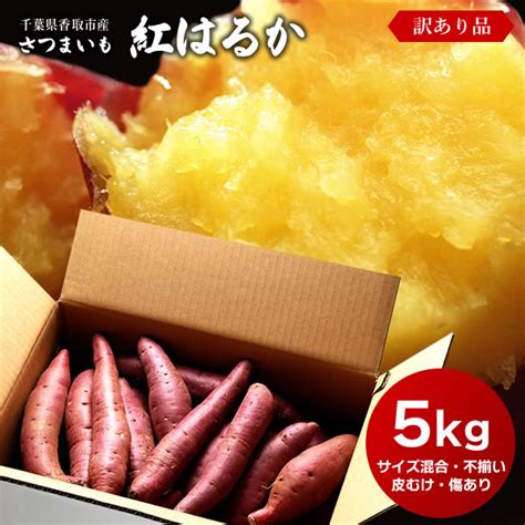 【楽天市場】訳あり さつまいも 紅はるか 5kg 送料無料 サツマイモ さつま芋 千葉県産 国産 11月中旬頃より出荷開始：ほしいも本舗 誉のほしいも