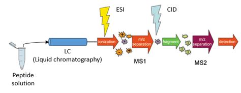 Hands On Label Free Data Analysis Using Maxquant Label Free Data Analysis Using Maxquant