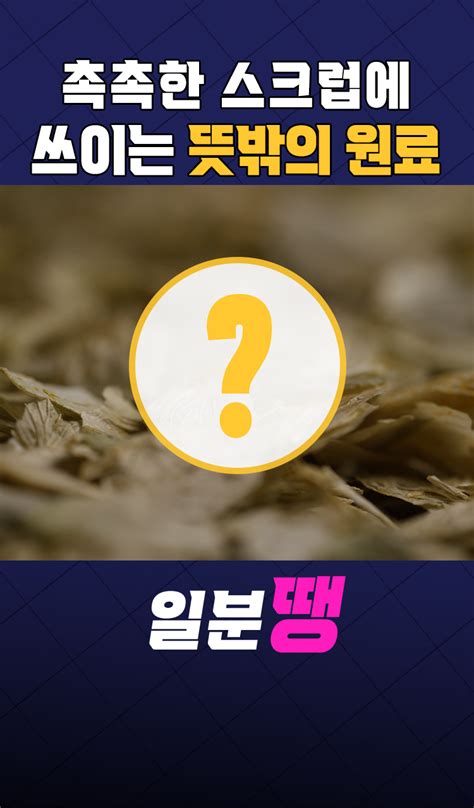 촉촉한 스크럽에 쓰이는 뜻밖의 원료 오늘의 숏 Beta