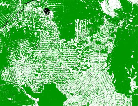 Forest Non Forest Map