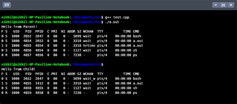 How Do I Demonstrate Orphan Process Through Systemps L Command