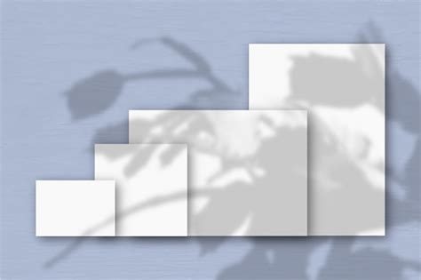 파란색 벽 배경에 흰색 질감종이 여러 장 식물 그림자의 오버레이와 모형 열대 식물에서 그림자를 투사하는 자연 광 0명에 대한 스톡 벡터 아트 및 기타 이미지 Istock