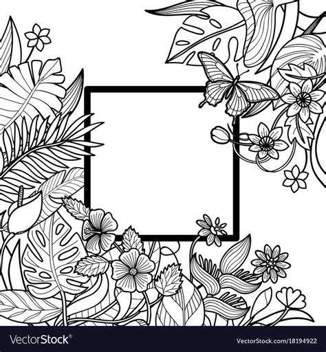 Tropical Square Frame Vector Image On VectorStock In 2024