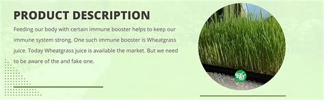 Winwoodsagri Wheat Grass Tray Set Of 2 Growing Microgreen Tray