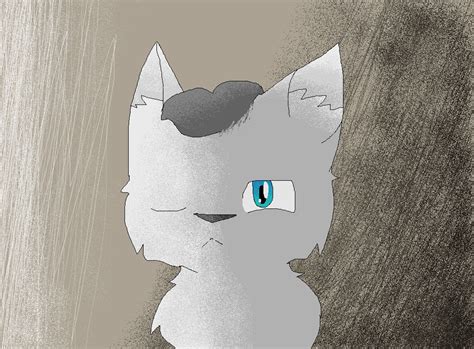 Dovepaw By Cinnamonclaus On Deviantart