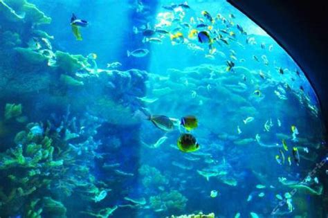 科學解析女性夢裡主角是熟人，而男性夢裡主角總是些陌生女性 每日頭條