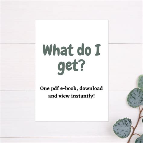 Modern Interview Tips Tricks S E Book Handbook Digital Guide E
