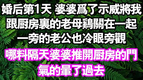 嫁給老公的第一天。婆婆為了示威，將我跟家裡的老母雞關在一起。第二天，婆婆看著滿地的雞毛對我破口大罵。我卻悠閒的坐在藤椅上，手裡握著大雞腿。我