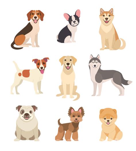 卡通柴犬图片图片大全 卡通柴犬图片设计素材 卡通柴犬图片模板下载 卡通柴犬图片图库 昵图网 soso nipic