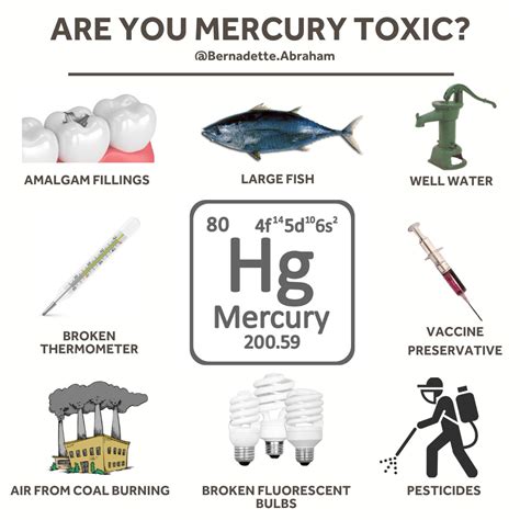 Are You Mercury Toxic Bernadette Blog