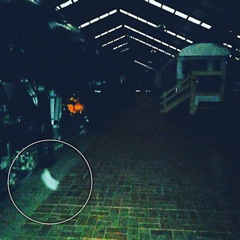 GHOST ENTITY PARANORMAL INVESTIGATION Home Page