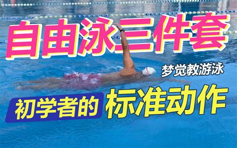 【游泳教学】自由泳三件套练习帮你搞定初学阶段的标准动作 Bilibilib站无水印视频解析——6li6在线工具箱