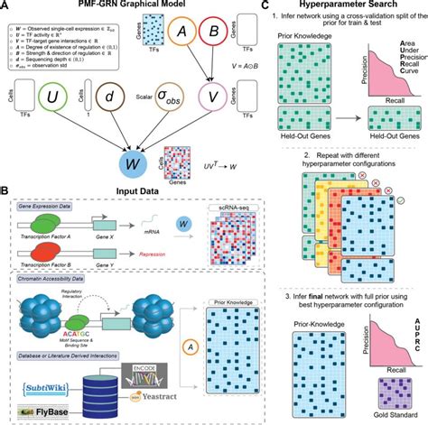 Bmc On Linkedin Pmf Grn A Variational Inference Approach To Single