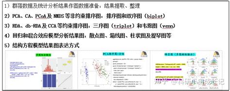 鸟类聚类 鸟类鱼类排序 微生物等生物群落r分析，多案例结合理解 知乎