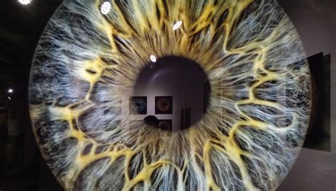 Eye Origin 2025 All You Need To Know Before You Go With Reviews