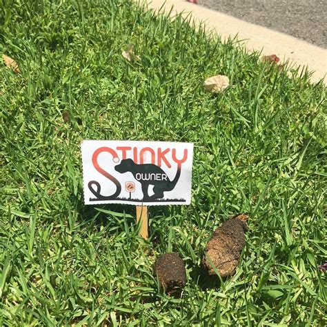 Who Stinks I Cant Ignore The Humorous Nature Of By Adele Jacques