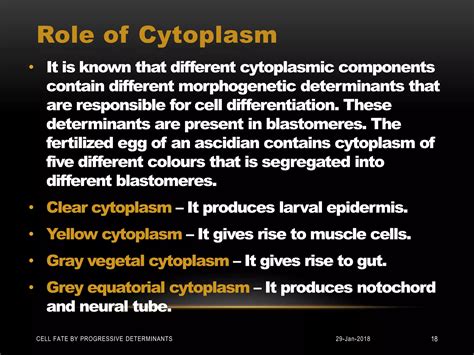 Cell Fate By Progressive Determinants Pptx