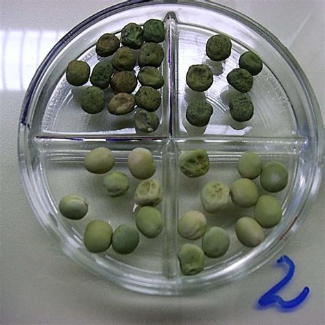 Inquiry Based Learning Framework General Phases Sub Phases And Their
