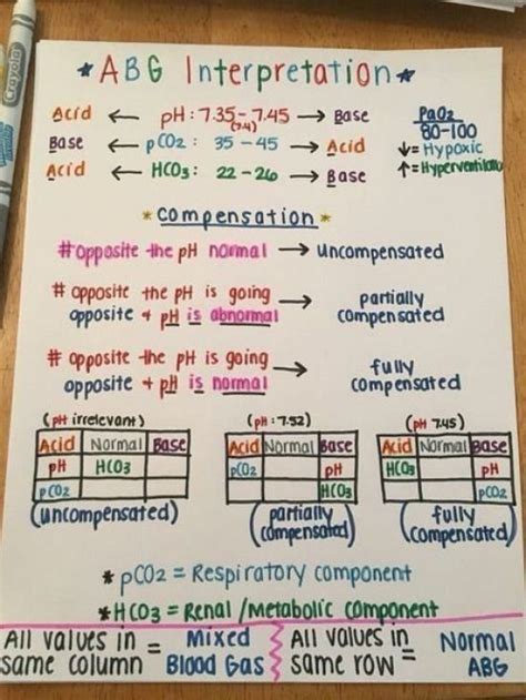 Acid Base Practice Questions Nursing