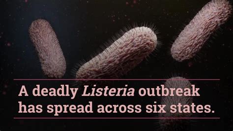 Deli Meats And Cheeses Linked To Deadly Listeria Outbreak Across At