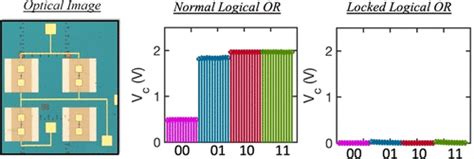 Logic Locking Of Integrated Circuits Enabled By Nanoscale Mos2 Based Memtransistors Acs