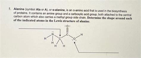 Solved 5 Alanine Symbol Ala Or A Or A Alanine Is An