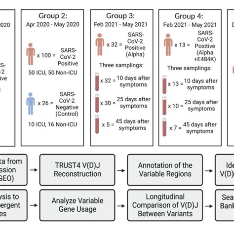 overview of sample population and experimental design a rna seq data