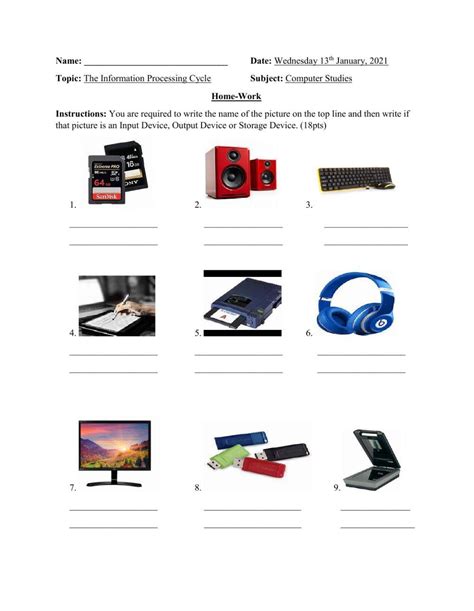 Information Processing Cycle Homework Classification Online Exercise For Live Worksheets