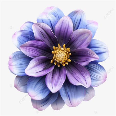 노란색 별이 있는 아름다운 보라색과 파란색 꽃 꽃 보라 파란색 Png 일러스트 및 이미지 에 대한 무료 다운로드 Pngtree
