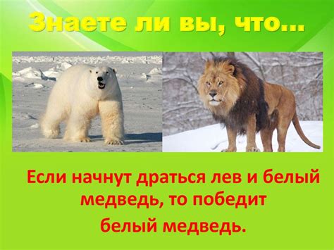 Удивительные факты о животных презентация онлайн