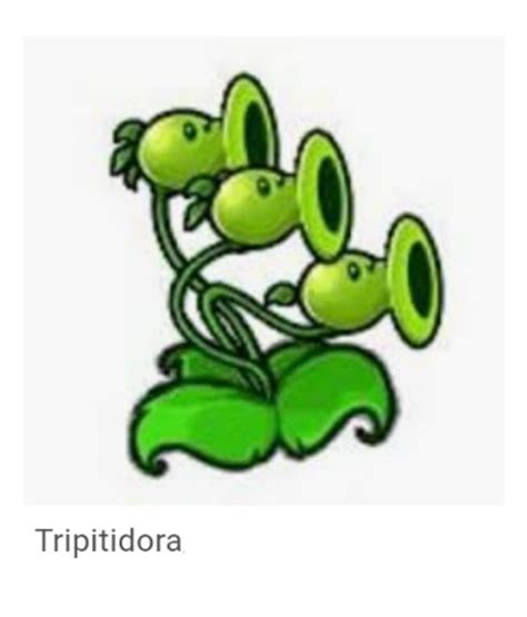 ~tripitidora Pvz 1 Plants Vs Zombies Plantas Contra Zombis