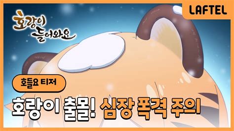 호랑이 들어와요 애니 티저 라프텔 Youtube