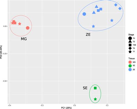 Principal Component Analysis Of All SRNA Libraries Using The