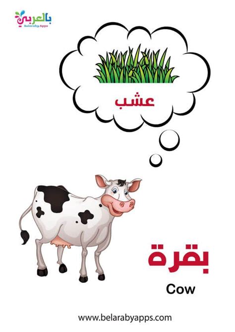 بطاقات تعليم حيوانات المزرعة لرياض الأطفال وحدة حيواناتي المفضلة ⋆