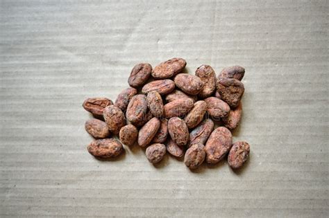Close Up Image Of A Pile Of Dry Cocoa Beans Seeds Of The Cacao Tree