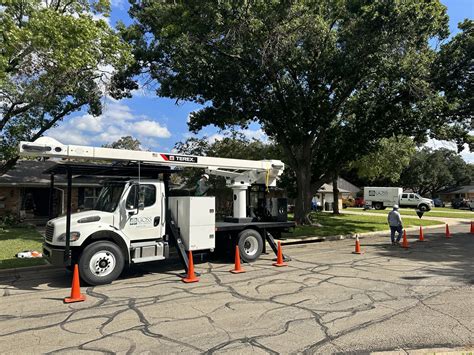 Stunning Visuals Of Central Texas Premier Tree Care Goss Tree Service
