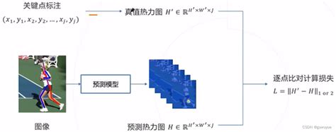 Ai实战营：人体姿态估计与mmpose